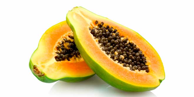 Las Enzimas Digestivas y su Importancia