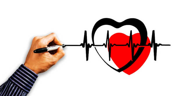 Diferencias entre un corazón entrenado y uno sedentario