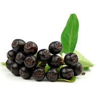 Acai Berry: Propiedades y Beneficios para la Salud