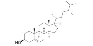 Campesterol ¿Qué es y para qué sirve? - HSN Blog