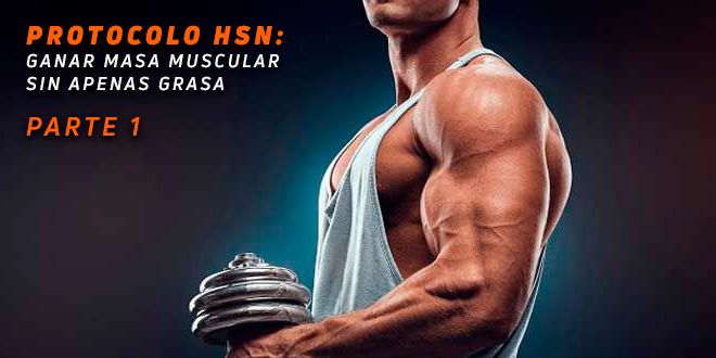 Protocolo HSN: Ganar Músculo Sin Apenas Grasa. Parte 1