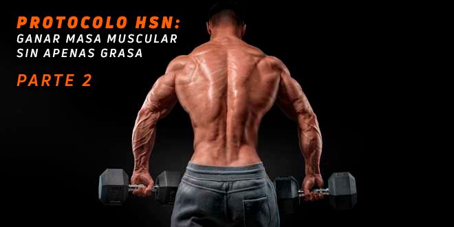Protocolo HSN: Ganar Músculo Sin Apenas Grasa. Parte 2