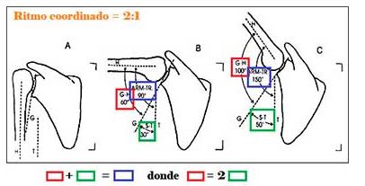 Dolor de Hombros - Causas, Síntomas, Tratamiento