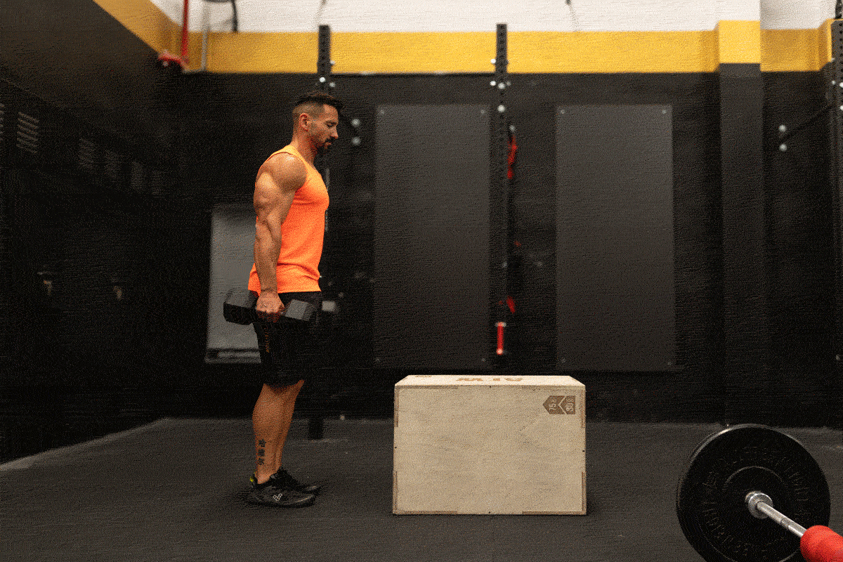 Top 10 Exercises for Steel-Strong Quadriceps | HSN