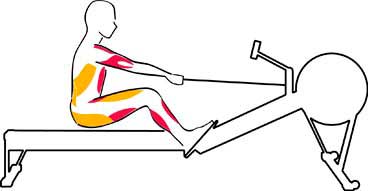 Máquina de Remo: Beneficios y Por qué Practicarla