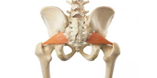 Síndrome del piramidal: Síntomas, Causas y Tratamiento