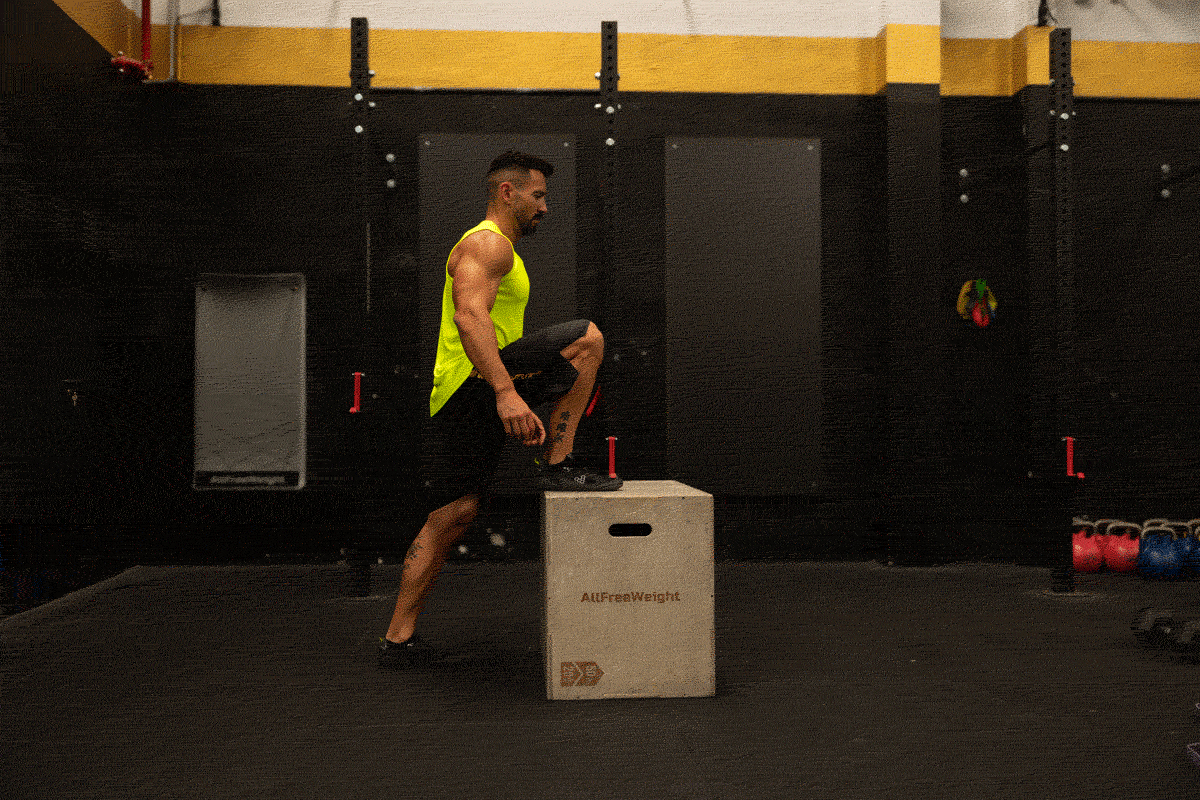 12 Esercizi più potenti per i glutei | HSN