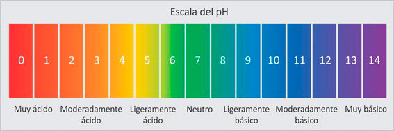 Alimentos Alcalinos - Qué son, Beneficios para la Salud