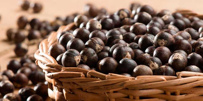 Acai Berry: Propiedades y Beneficios para la Salud
