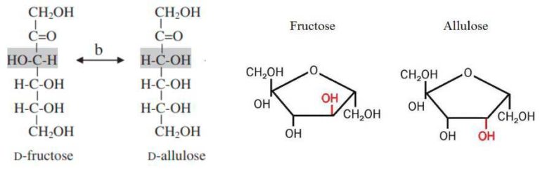 Alulosa - ¡El Azúcar Natural Bajo en Calorías! - HSN Blog