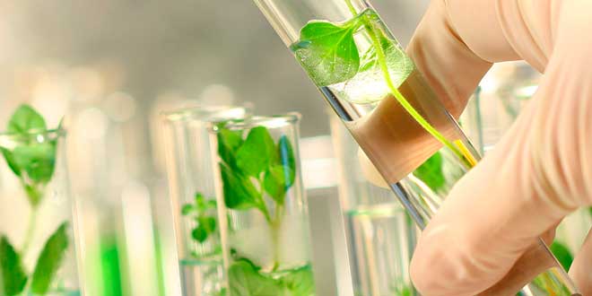 Aprende a interpretar la etiqueta de Extractos de Plantas