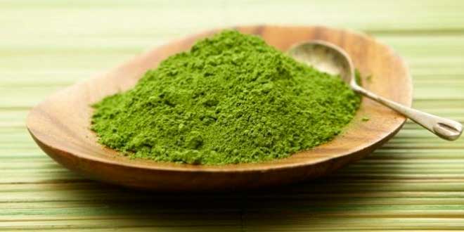 Aprende a interpretar la etiqueta de Extractos de Plantas