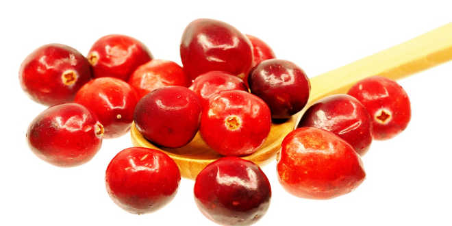 Arándano Rojo: Conoce todos sus Beneficios - HSN Blog