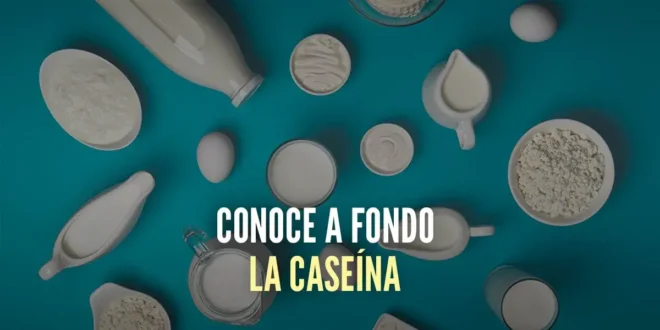 Caseína: Todo lo que debes saber sobre la fuente de proteína