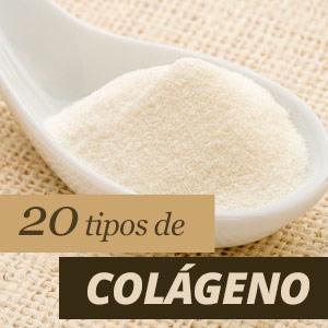 ¿Conoces los Tipos de Colágeno que existen? - HSN Blog