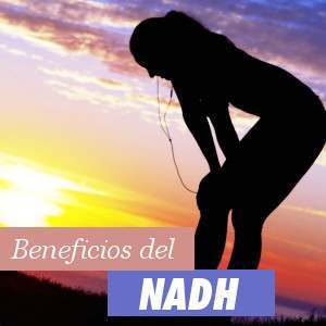 NADH - Propiedades, contraindicaciones y para qué sirve