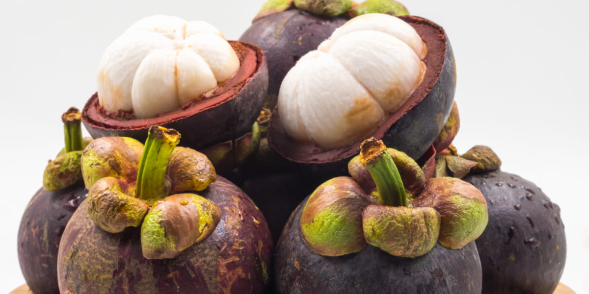 What is Mangosteen and how does it benefit your health?