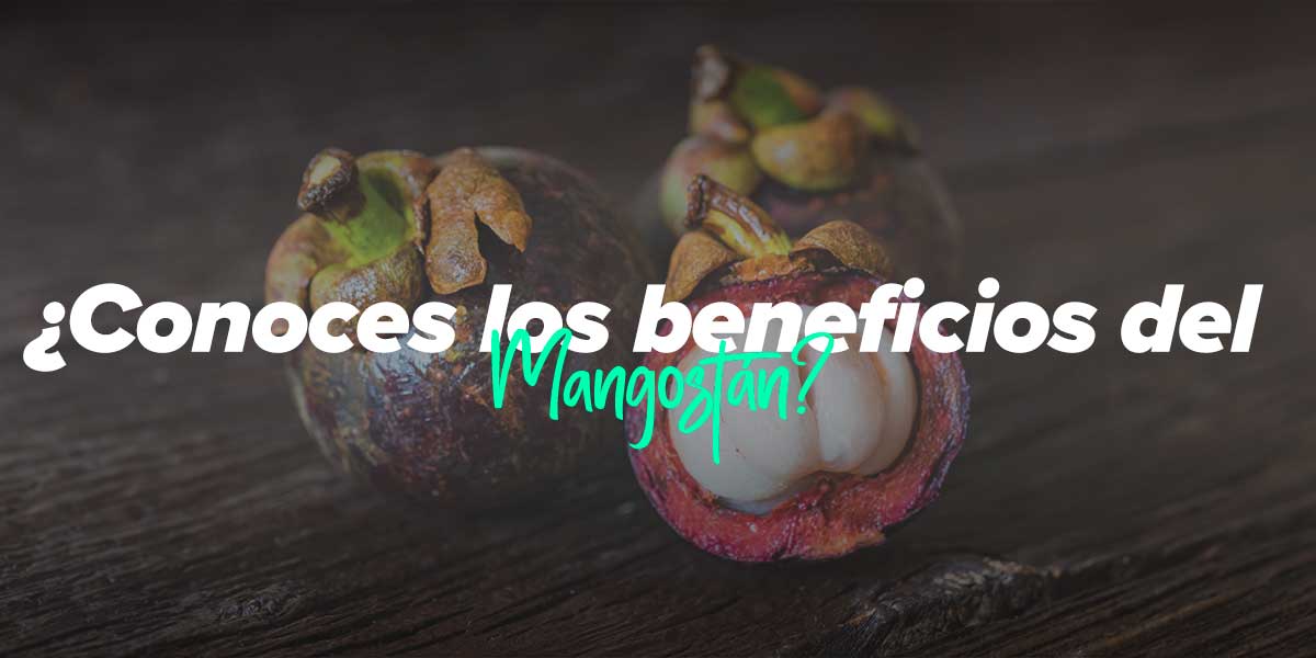 ¿Qué es el Mangostán y qué propiedades tiene en tu salud?
