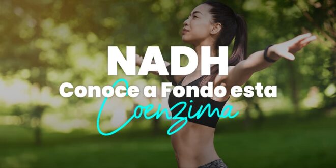 Qué es el NADH, beneficios y contraindicaciones | HSN