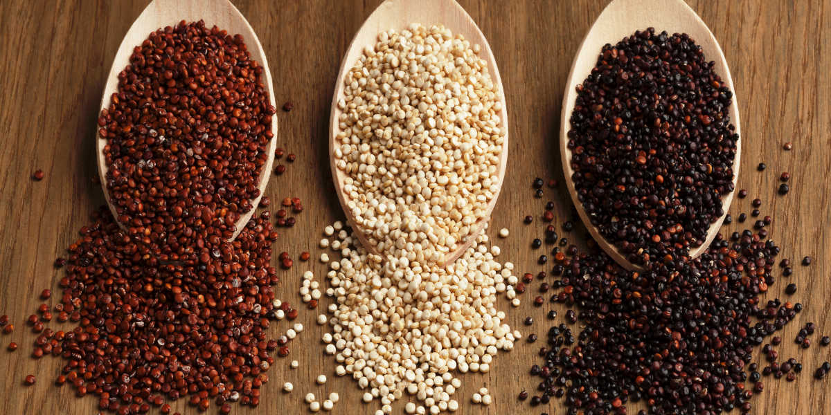 Quinoa: Properties, How to Cook It, and Recipes
