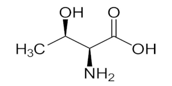 Treonina: lo que Debes Saber de este aminoácido