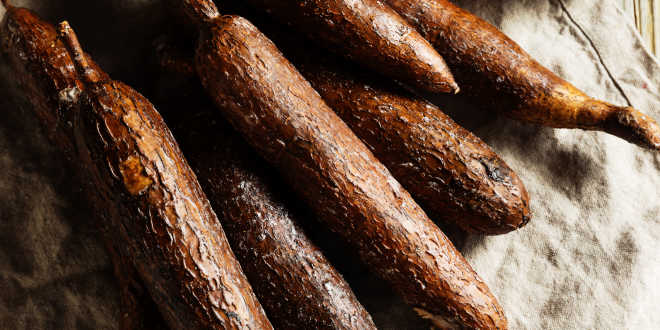 ¿Qué es la Tapioca? Propiedades y efectos - HSN