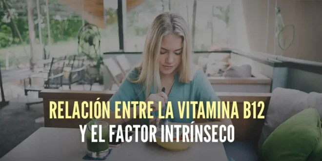 Qué es el factor intrínseco y su relación con la vitamina B12