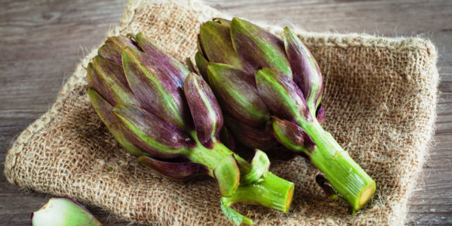 ¿Cómo tomar el extracto de alcachofa para adelgazar? | HSN