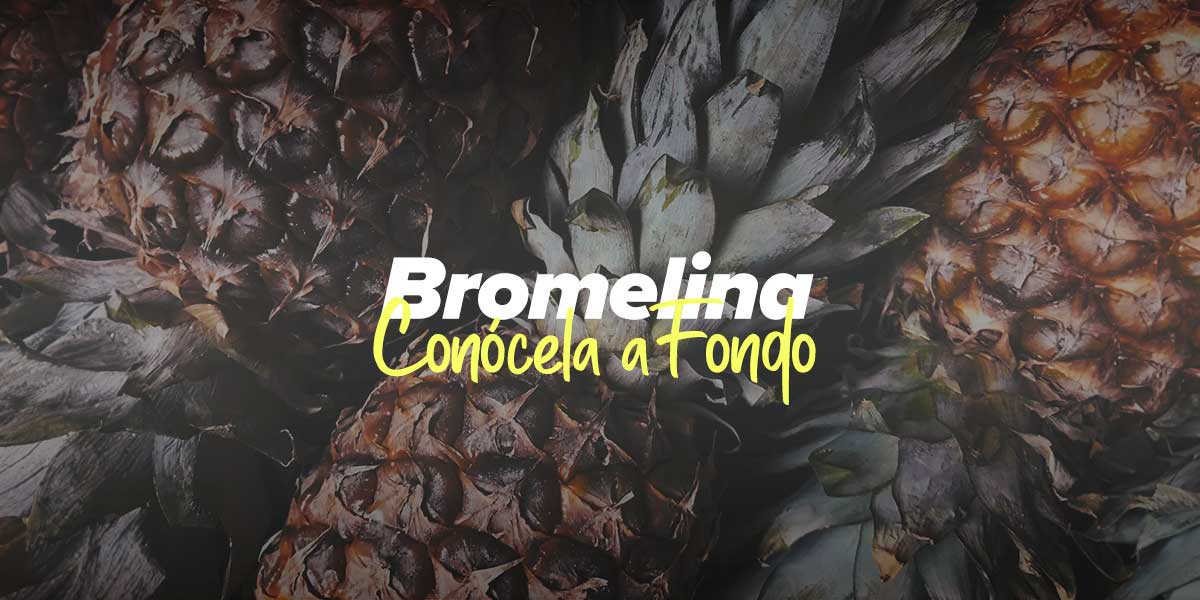 Bromelina: Mejora la Digestión de Proteínas 2025