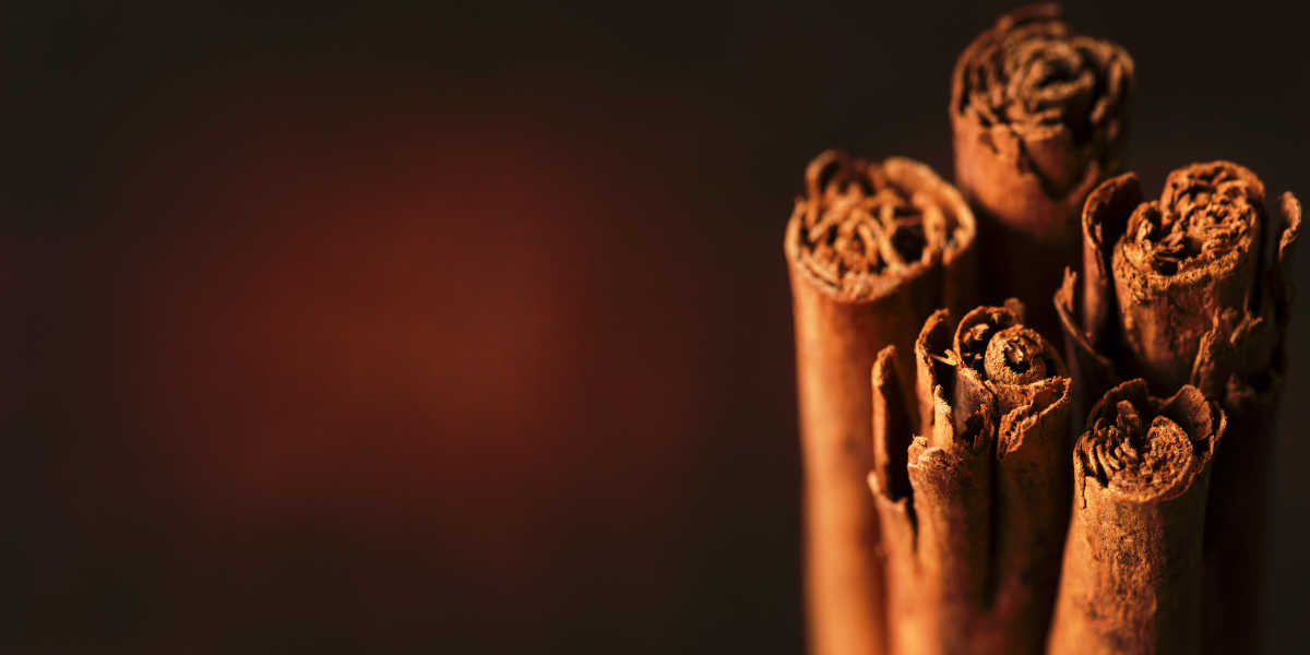Tipos de Canela: Ceilán, Cassia y más ... 2026
