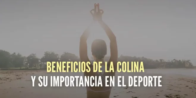 14 Propiedades poco conocidas de la colina