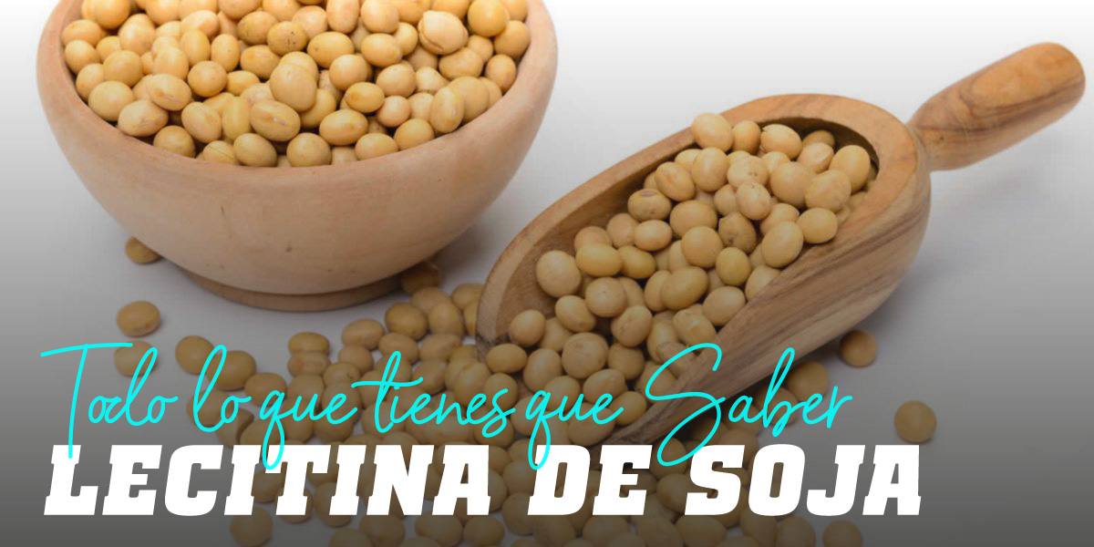 Lecitina de Soja: Propiedades y Para qué sirve 2025