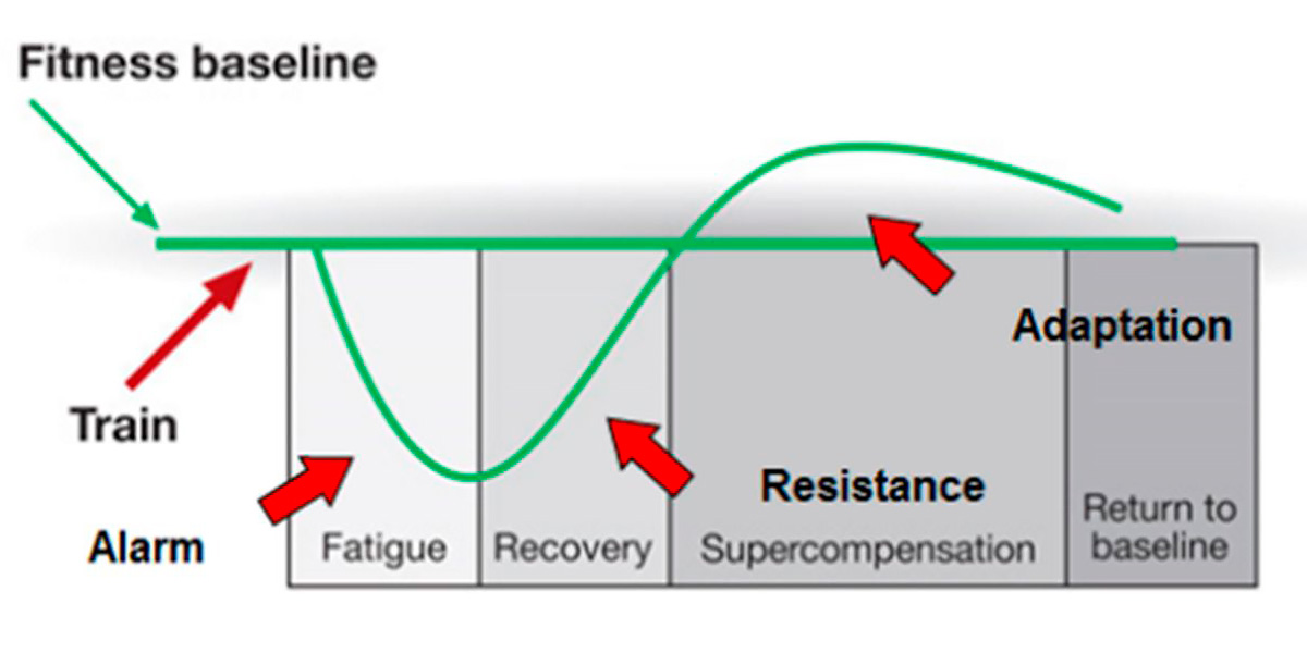 Volumen Máximo Recuperable – ¡Optimiza tu Entrenamiento!