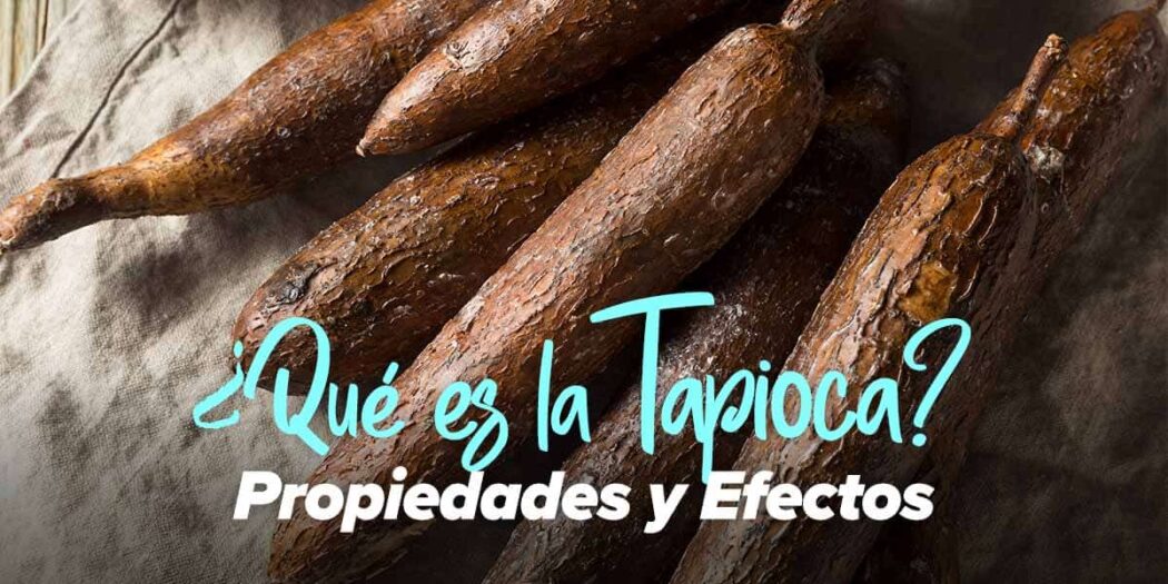 ¿Qué es la Tapioca? Propiedades y efectos - HSN
