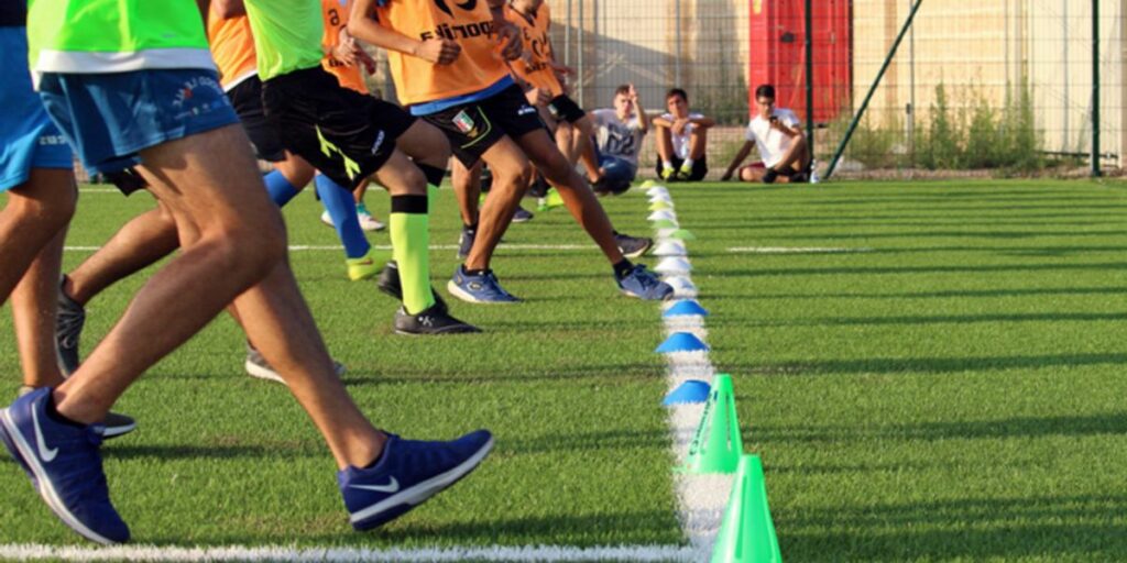 Course Navette: ¿Cómo Interpretar los Resultados? - HSN