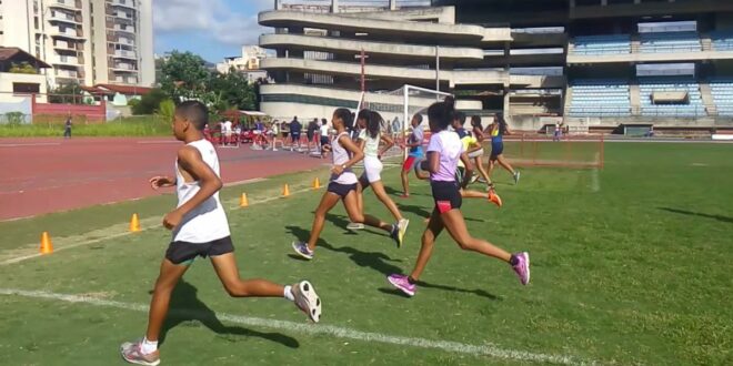 Course Navette: ¿Cómo Interpretar los Resultados? - HSN