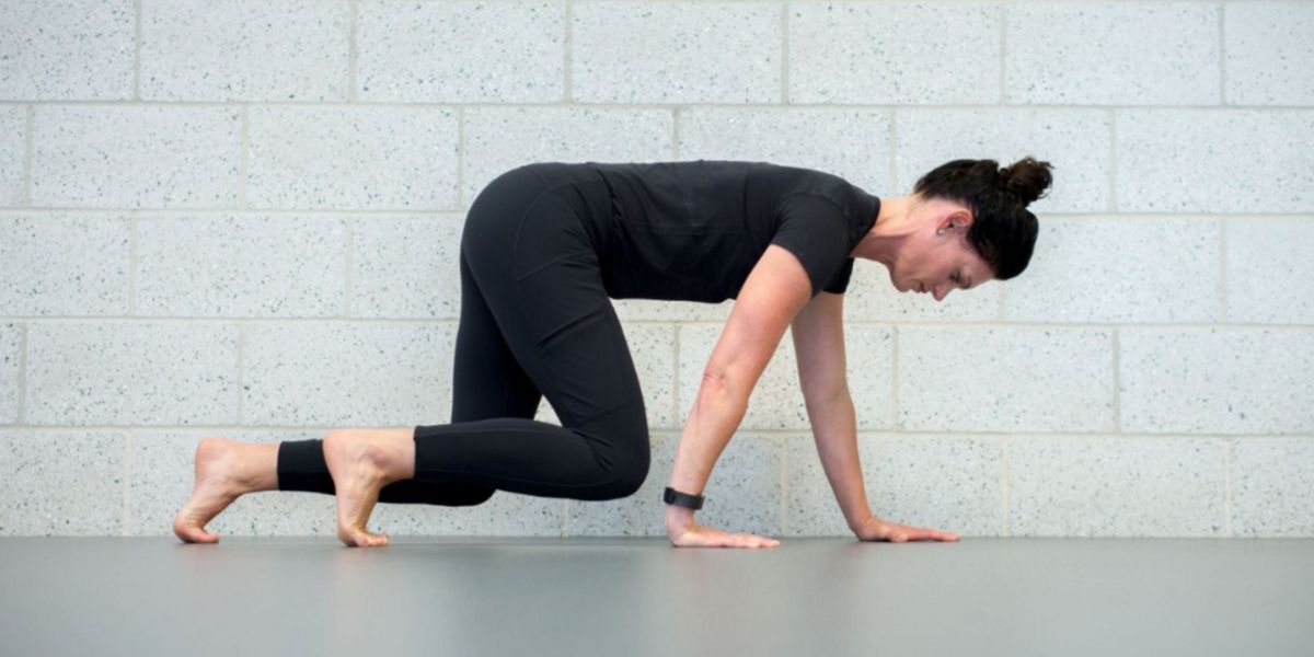 Animal Flow – ¡Ponte en Forma imitiando a los Animales!