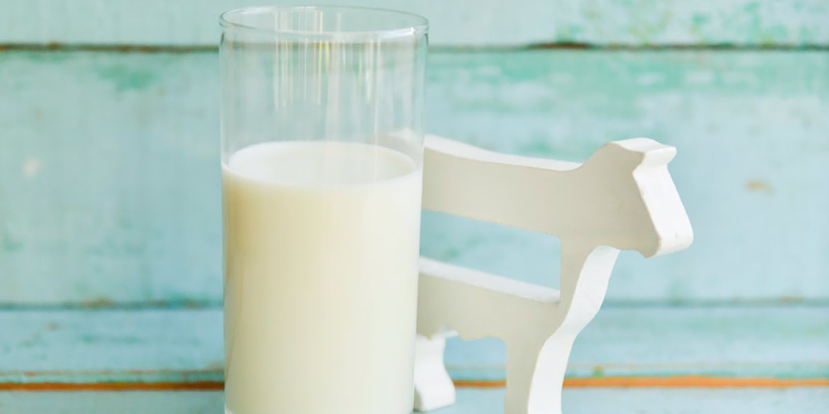 Leche: Propiedades, Beneficios, Mitos, ¿es Saludable? - HSN