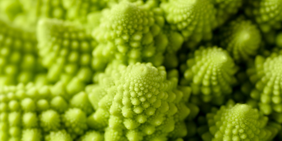Romanesco – Beneficios y Propiedades 【HSN Blog】
