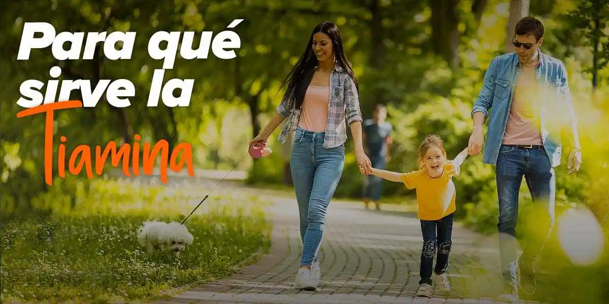 ¿Para qué sirve la tiamina (B1) y qué beneficios tiene?