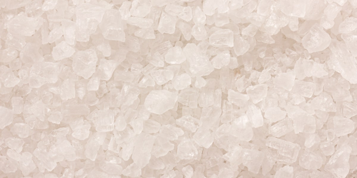 7 Alimentos ricos en yodo para cuidar tu metabolismo