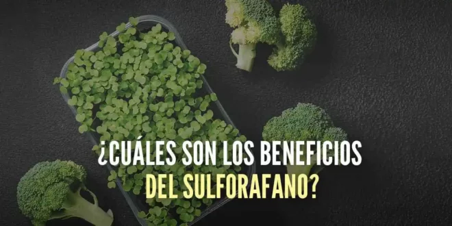 ¿Qué es el Sulforafano y qué beneficios tiene para la salud?
