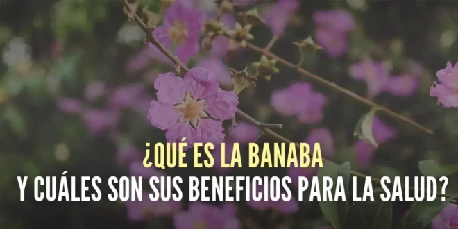 ¿Qué es la Banaba y Cuáles son sus Beneficios? | HSN