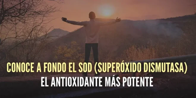 ¿Qué es el SOD (Superóxido Dismutasa) y para qué sirve? | HSN