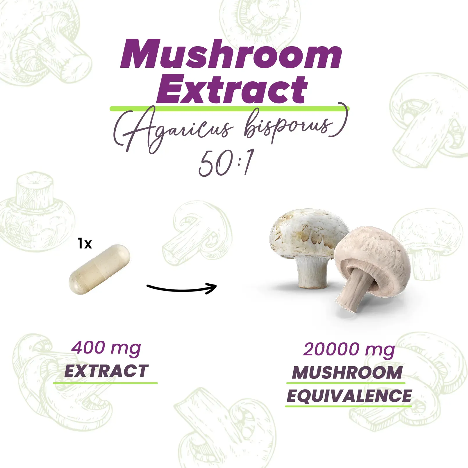 agaricus mushroom extract