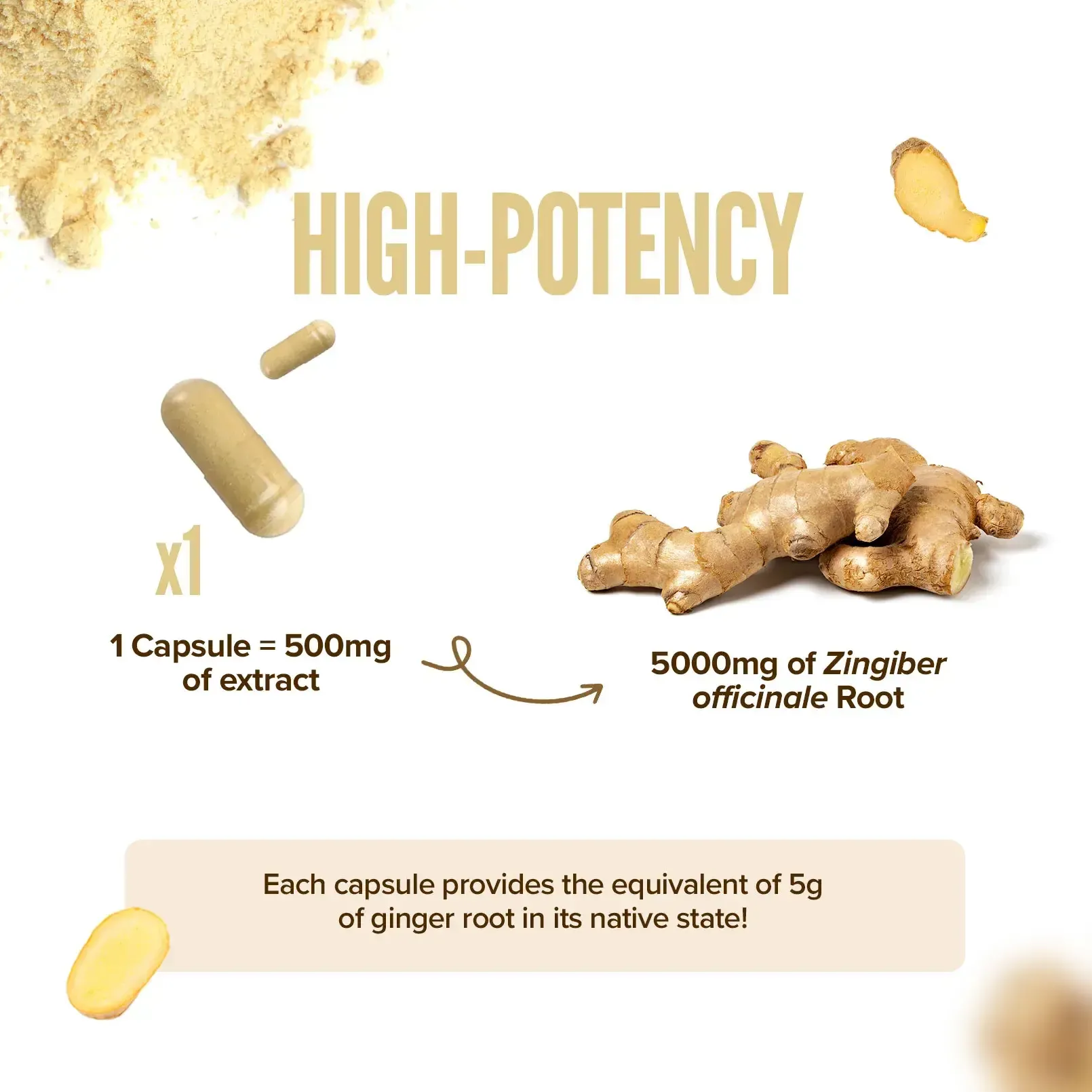 ginger root capsules