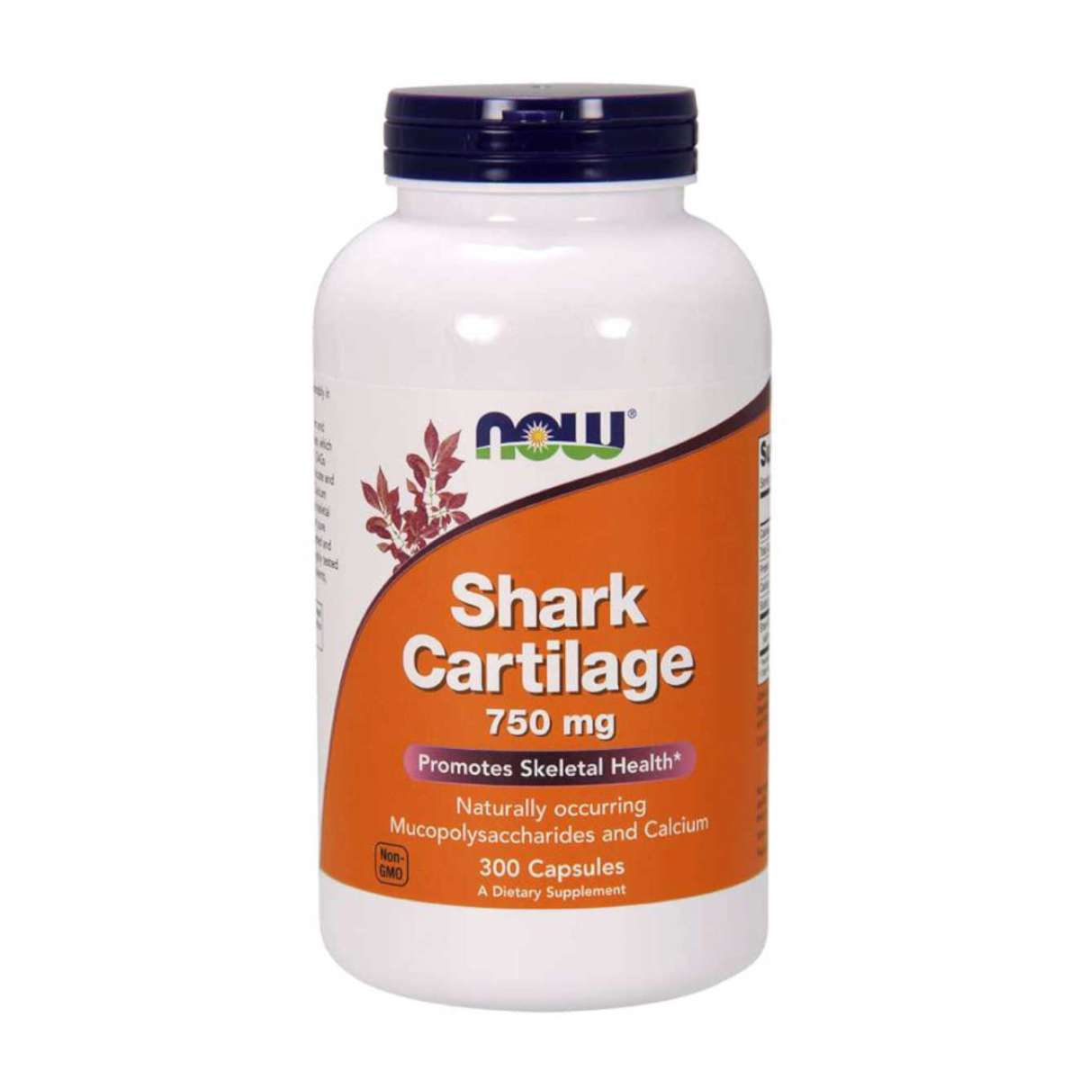 Shark Cartilage 750mg by Now Foods - HSNstore.com